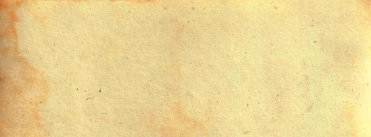 Medium Lindwyrm (Firmness: Soft) – Twilight Meadow Creations