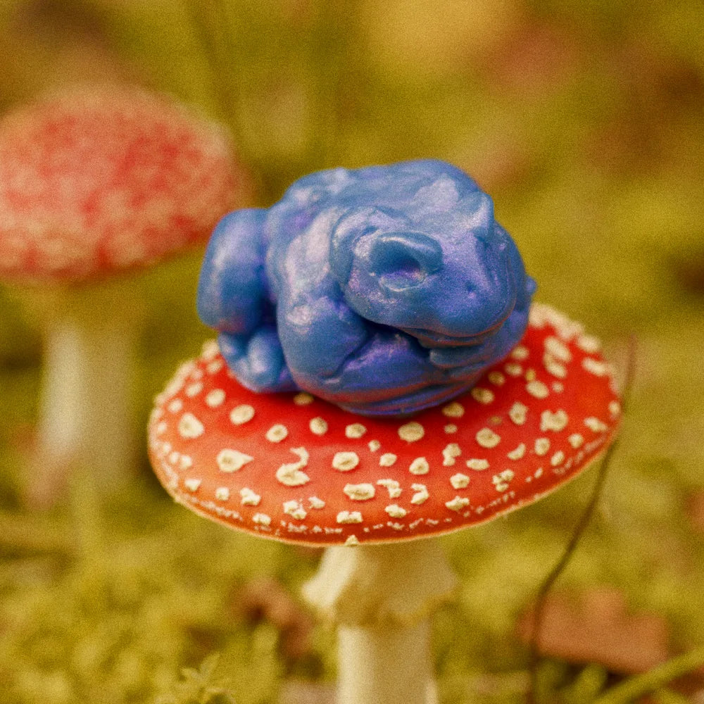 Skull Toad Squishie – Twilight Meadow Creations